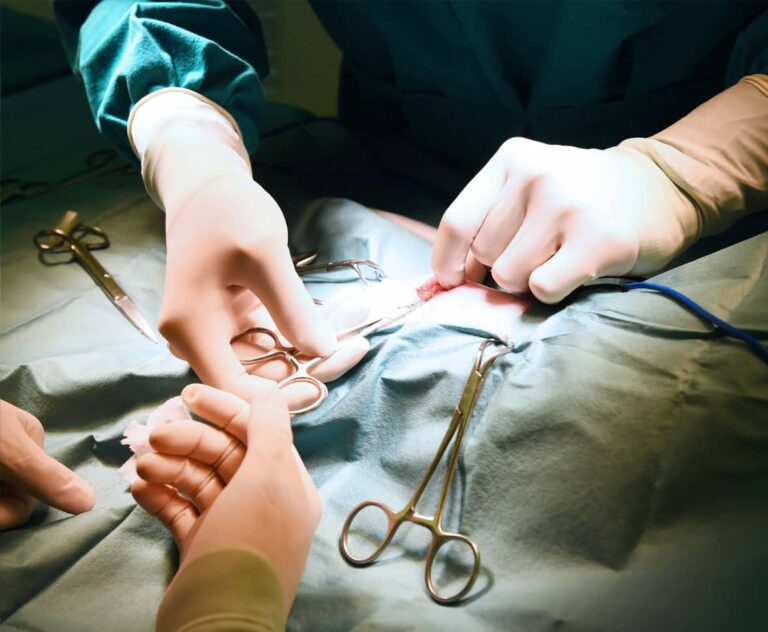 Colorectal Surgery (Including Inflammatory Bowel Disease) | Waitemata Surgeons